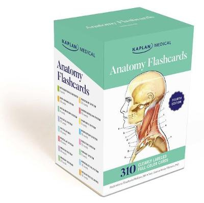 Anatomy Bundle Flashcards Pdf Anatomy Flashcards