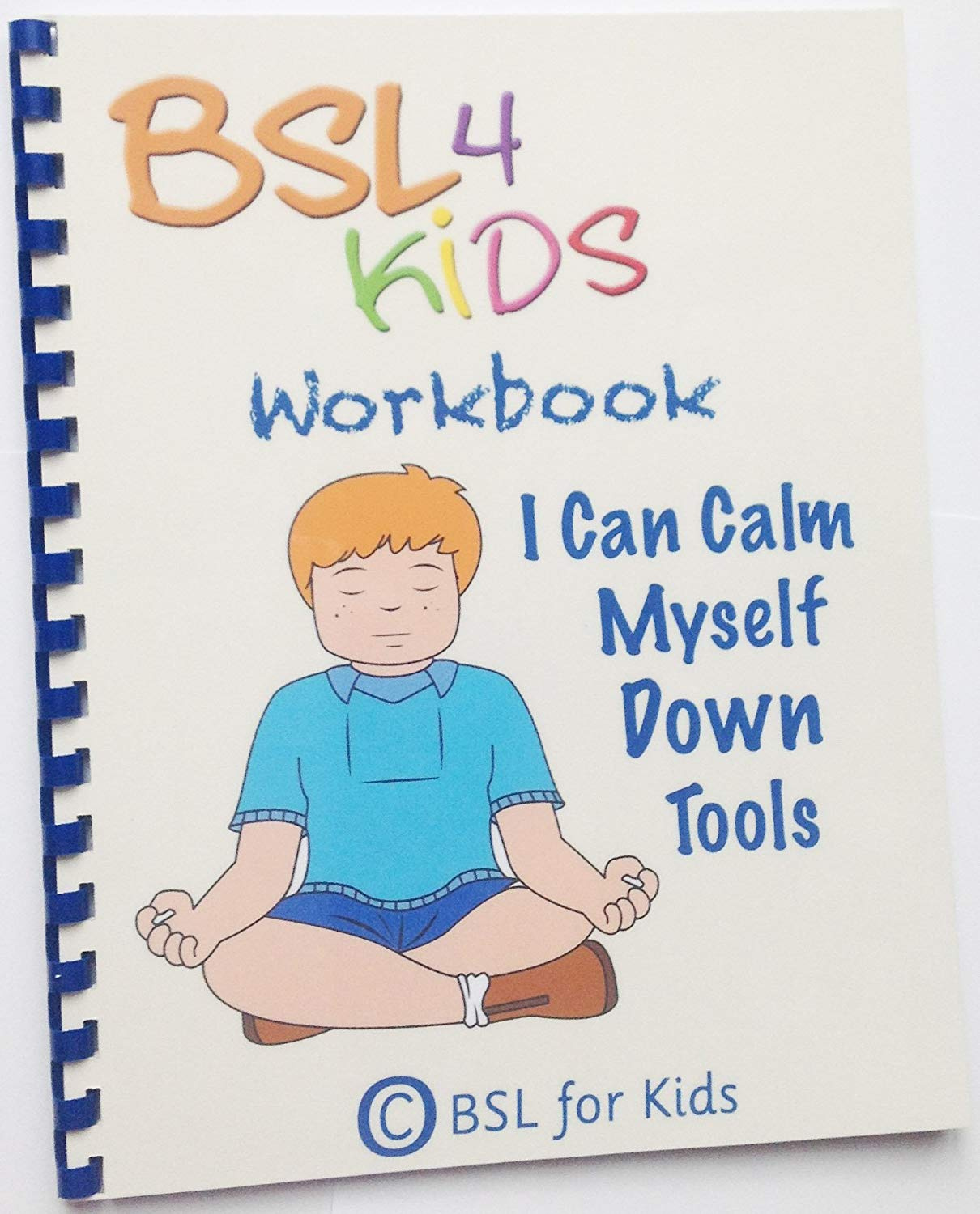 Toys & Games Autism / AAC / ASD / SEN BSL for Kids Feelings & Emotions ...